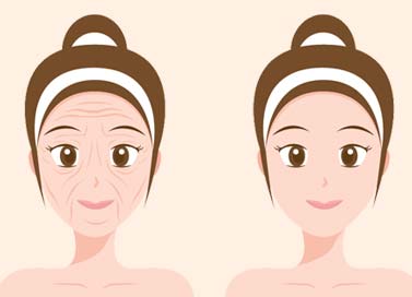 Anti-Aging | Expert Guide